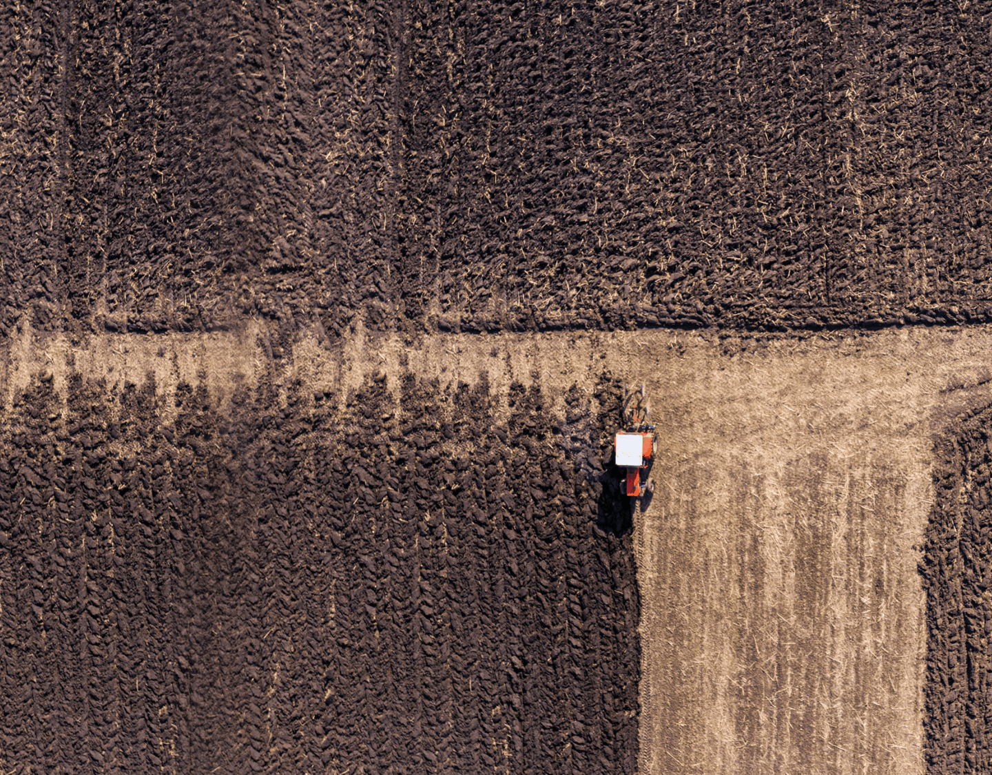 Complete Guide to Soil Testing